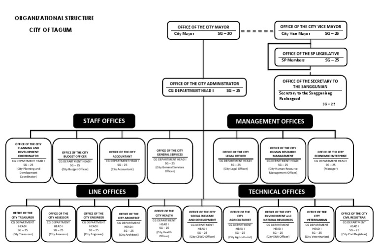 Tagum City Organizational Structure | PDF | Government | Public Sphere