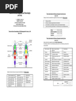 Protocolo Evaluación Fonoaudiológico OFA | PDF | Cabeza y cuello humanos | Boca