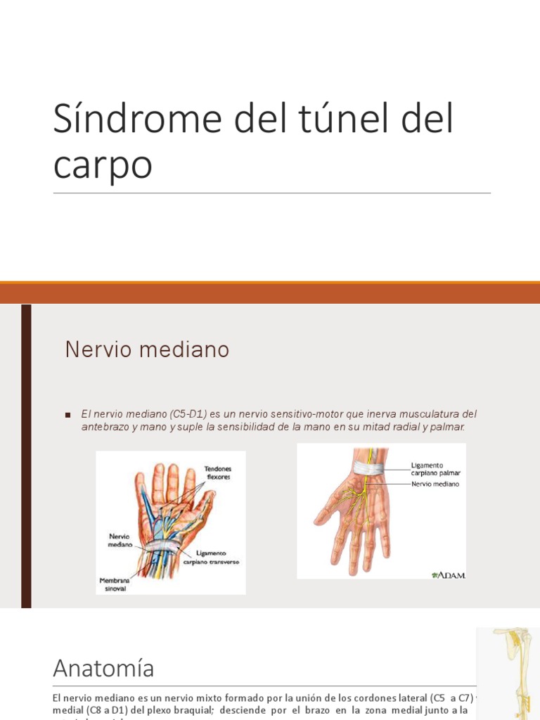 Síndrome Del Túnel Del Carpo Pdf – VMFWYG