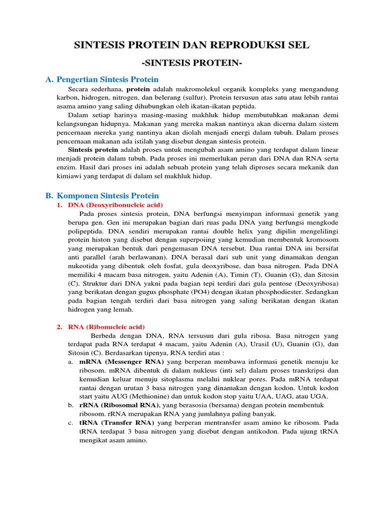 Proses Sintesis Protein dan Reproduksi Sel | PDF