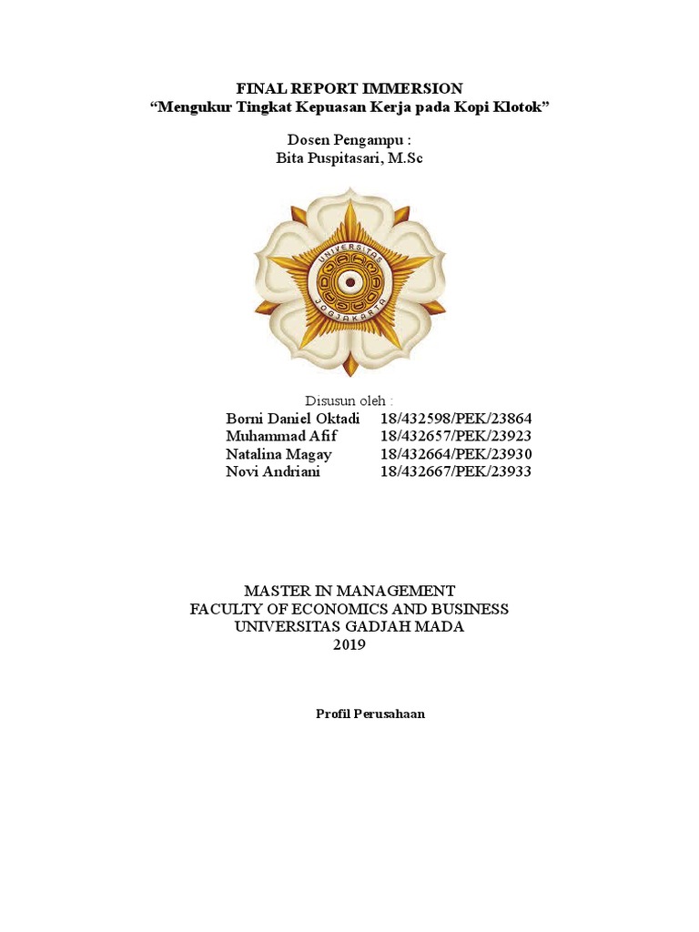 Final Report Immersion | PDF