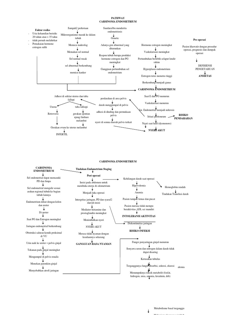 Woc CA Endometrium | PDF