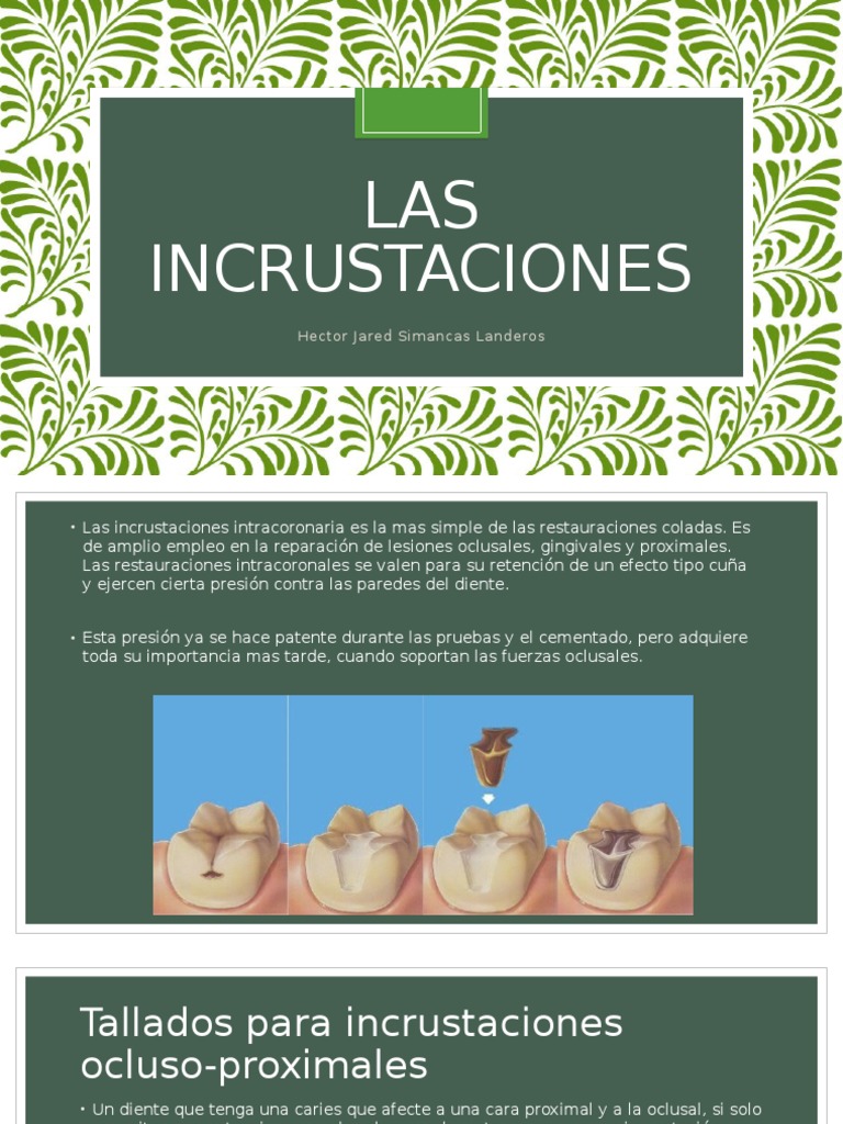 Incrustaciones | PDF | Naturaleza