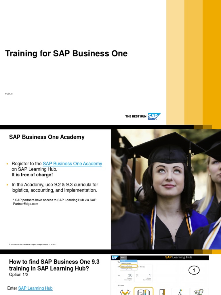 Training For SAP Business One: Public | PDF