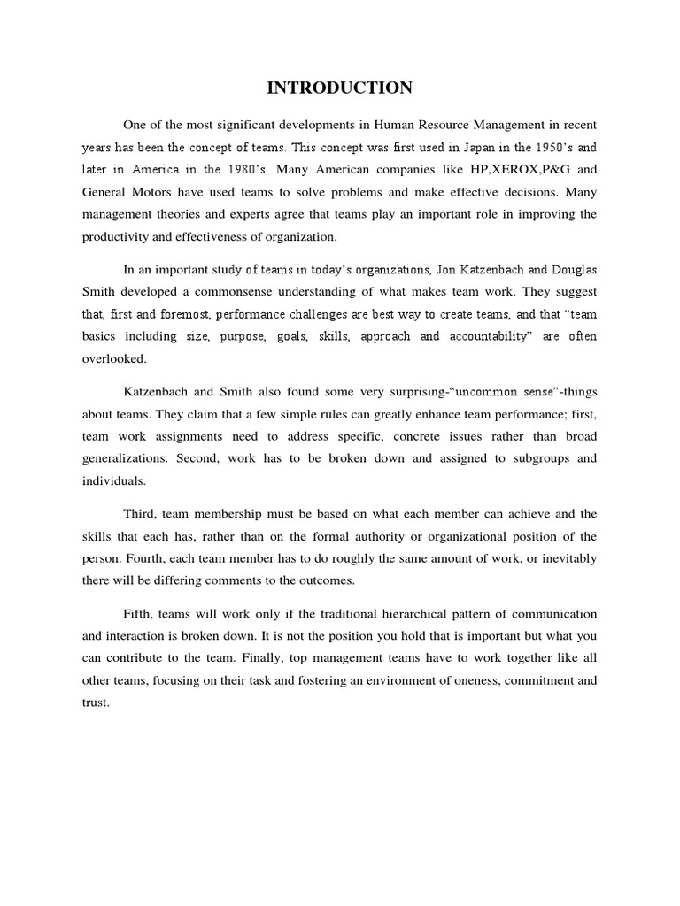 Team Work HUL | PDF | Unilever | Employment