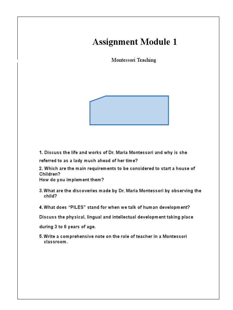 Module One Areeba Qamar | PDF | Montessori Education | Teachers