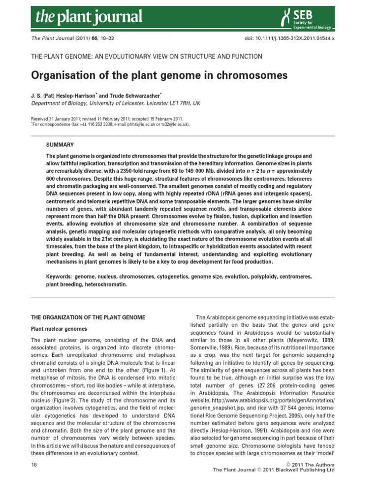 Plant Genome Organisation | PDF | Ploidy | Genome