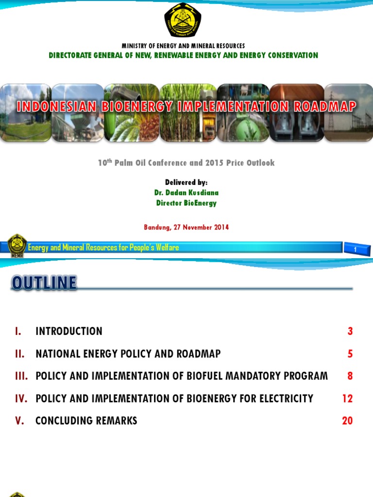 Indonesia's Bioenergy Roadmap | PDF | Biodiesel | Renewable Energy