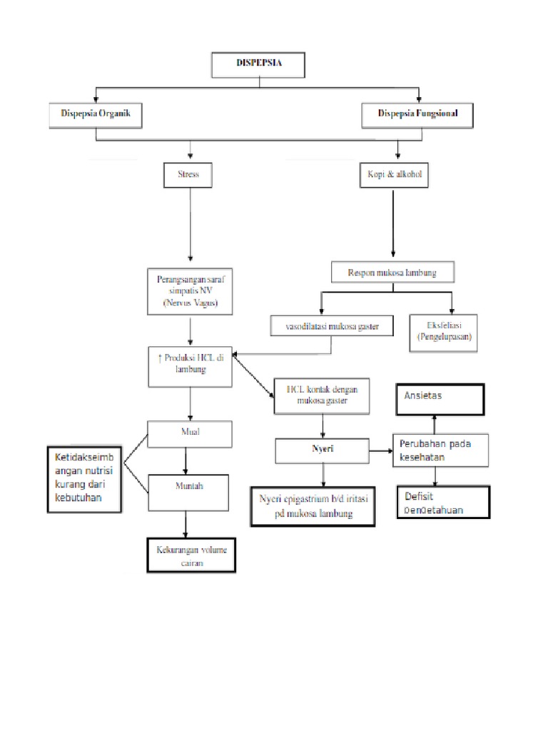 Pathway Dispepsia | PDF
