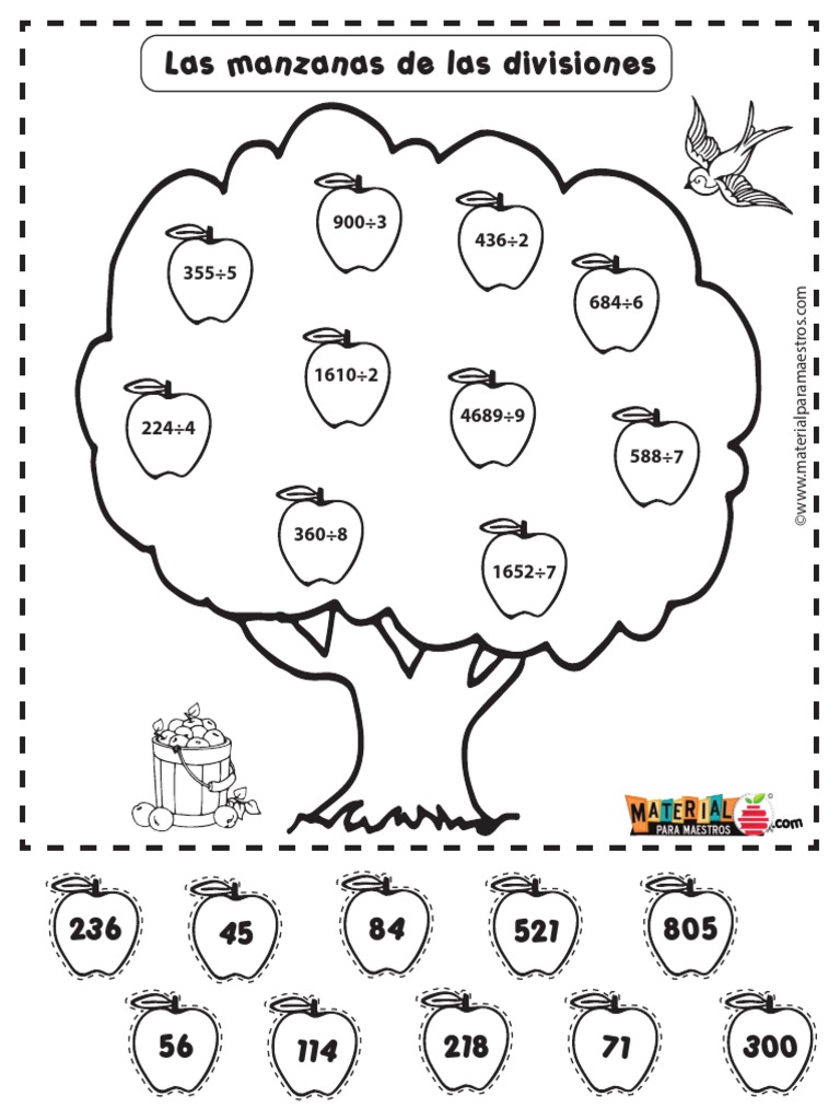 Arbol Divisiones PDF | PDF
