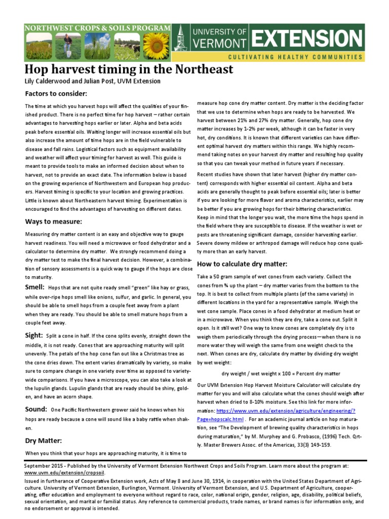 Optimal Hop Harvest Timing Guide | PDF | Hops | Onion