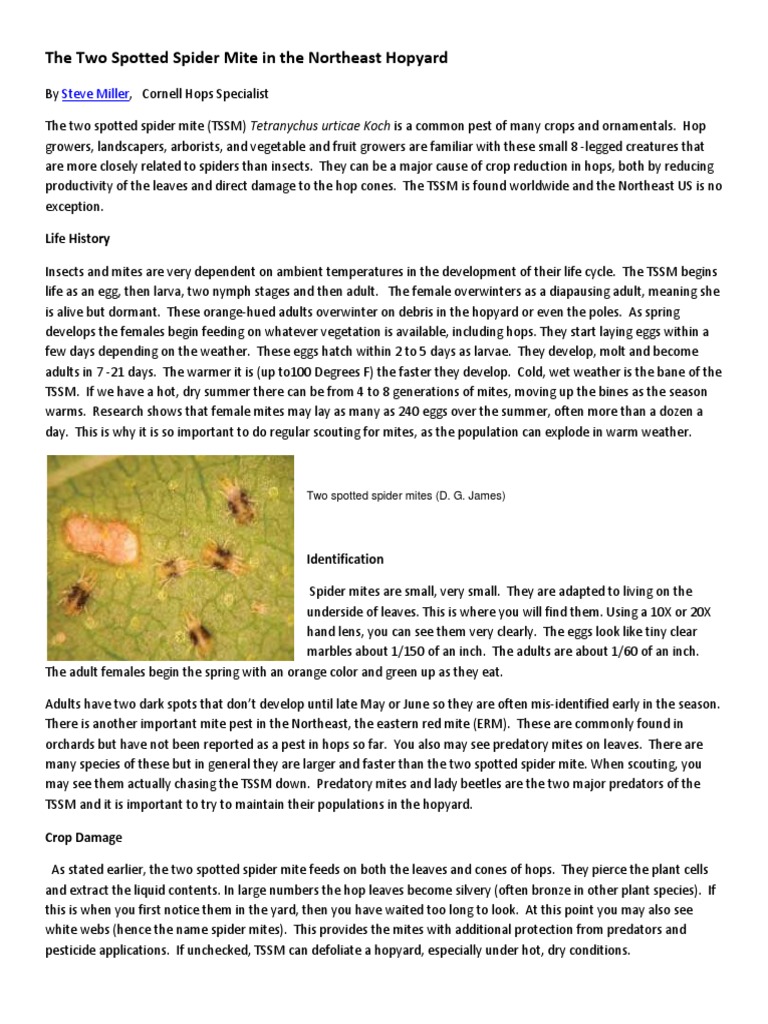Miller Spider Mite 11 | PDF | Pesticide | Chemicals