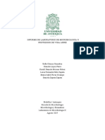 Partes y características del paramecio | PDF | Bioquímica | Química