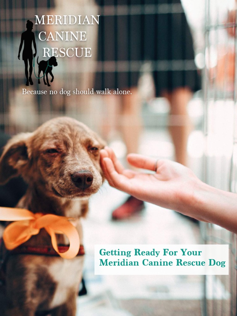 MCR Adopter Booklet | PDF | Dogs | Psychology