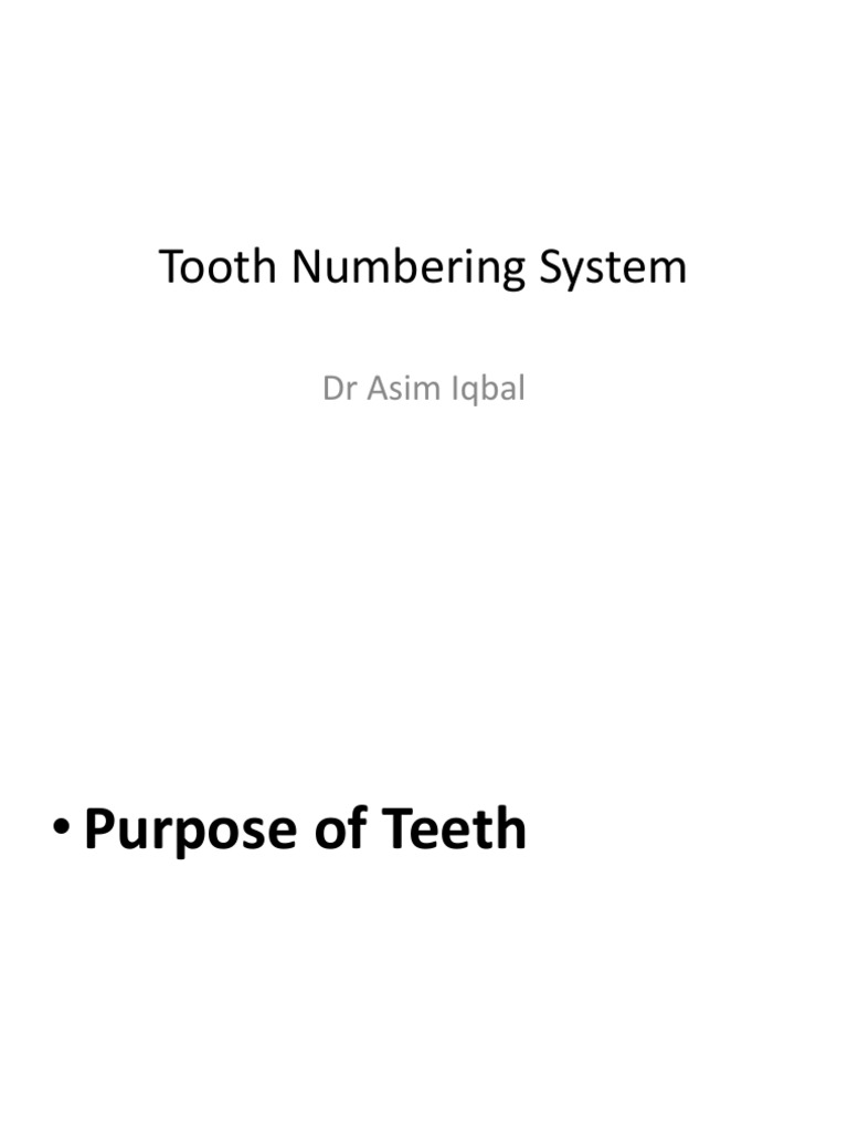 Tooth Numbering System | PDF | Tooth | Oral Hygiene
