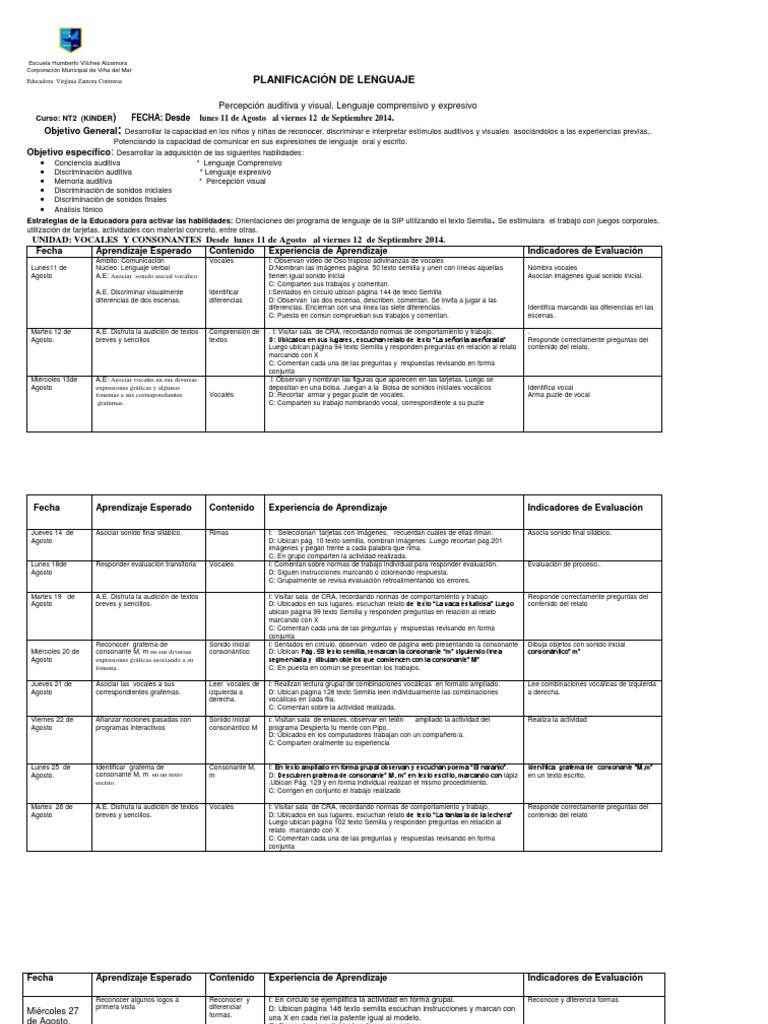 Planif. Repaso Vocales y Consonantes M y P | PDF | Vocal | Aprendizaje