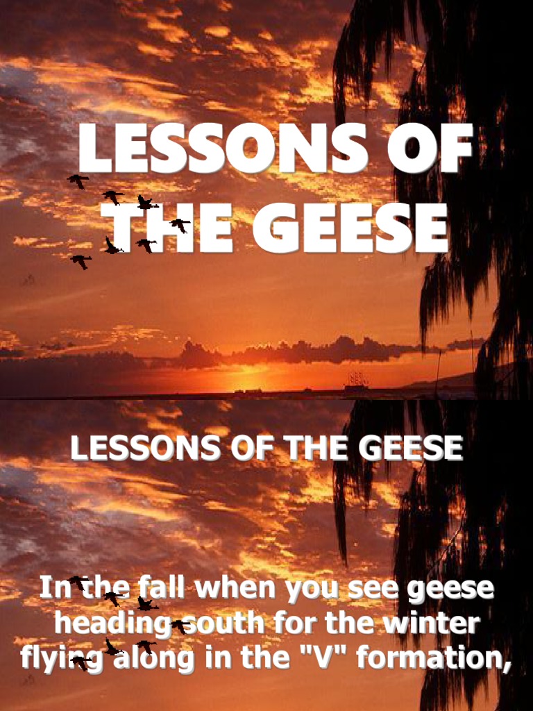 Lessons of The Geese | PDF