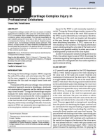 TFCC Lesions: Classification Guide | PDF | Joints | Human Anatomy