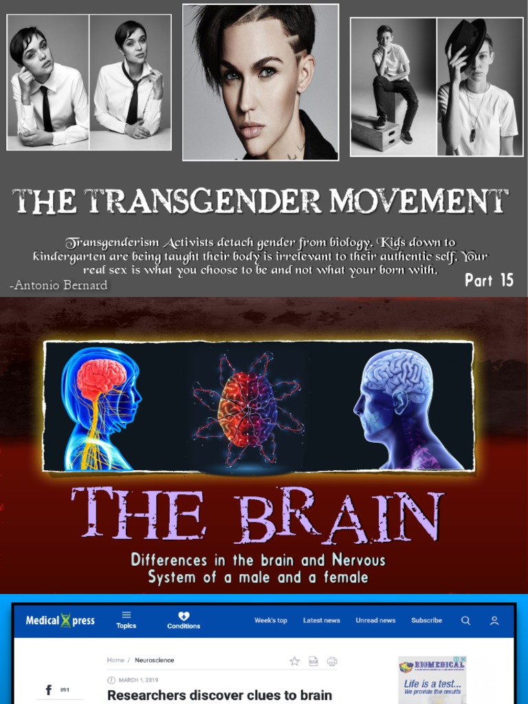 The TRANSGENDER Agenda Failed - Sex Differences in The Brain and ...