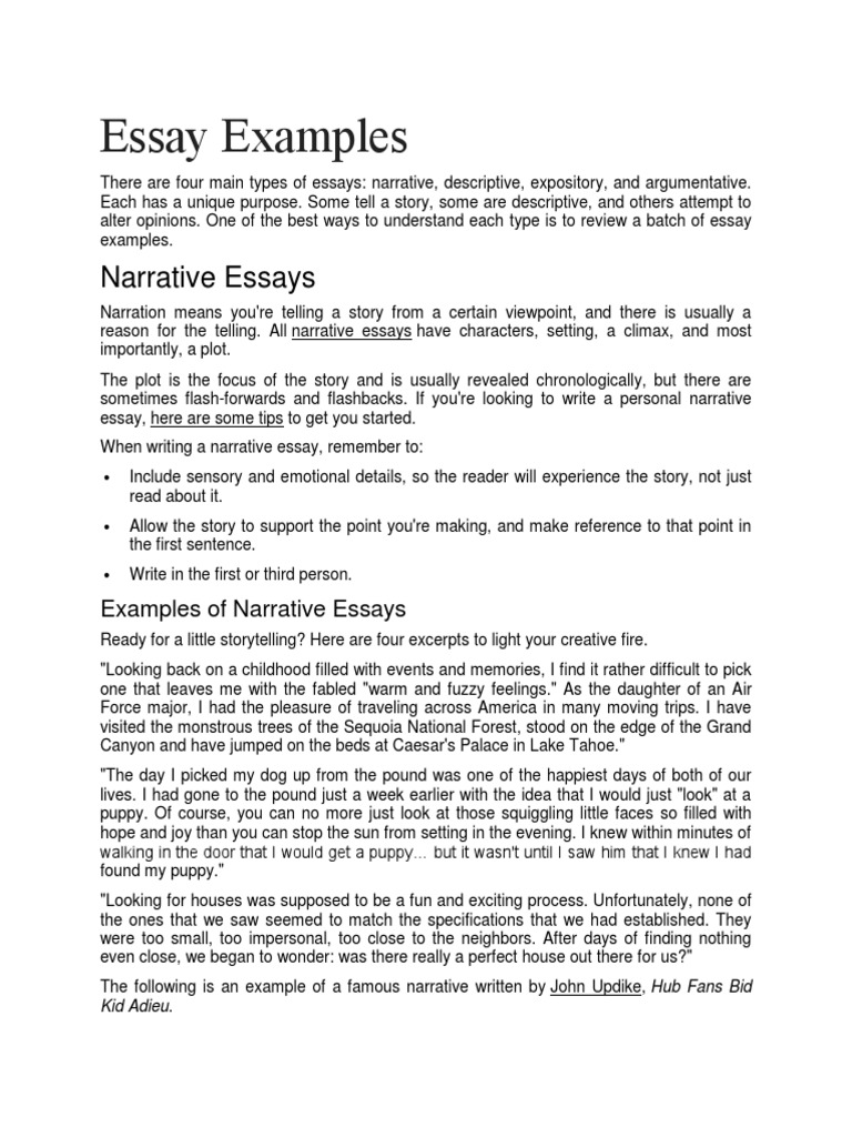 Essay Examples: Narrative Essays | PDF | Narrative | Essays