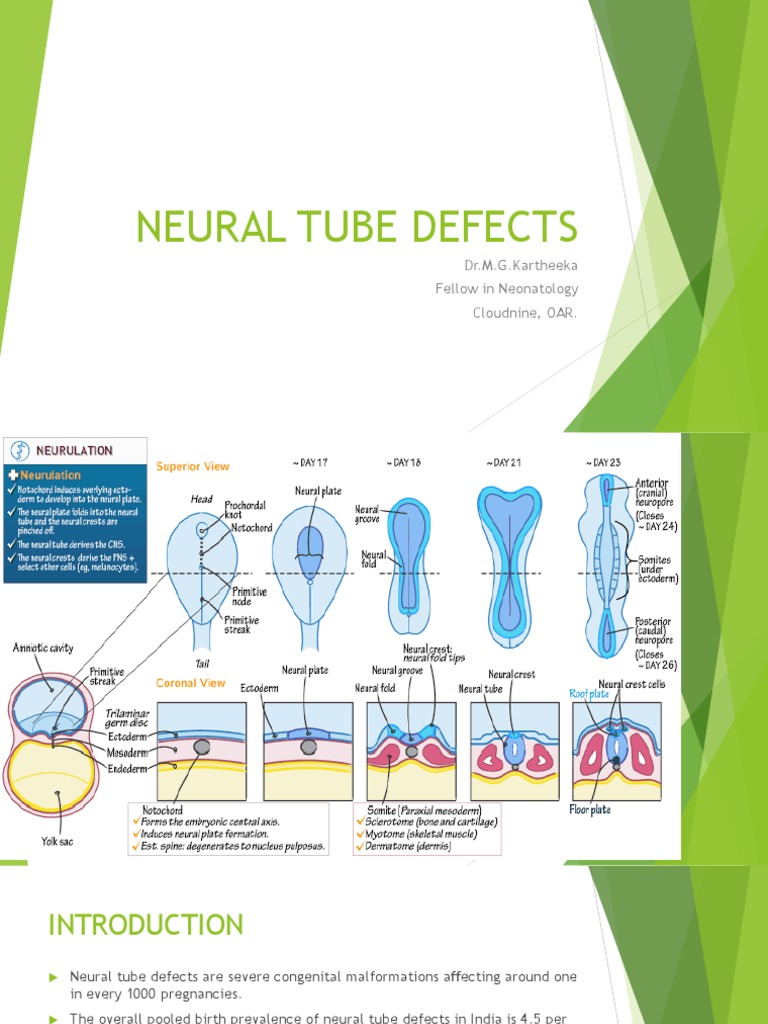 Neural Tube Defects: Dr.M.G.Kartheeka Fellow in Neonatology Cloudnine ...