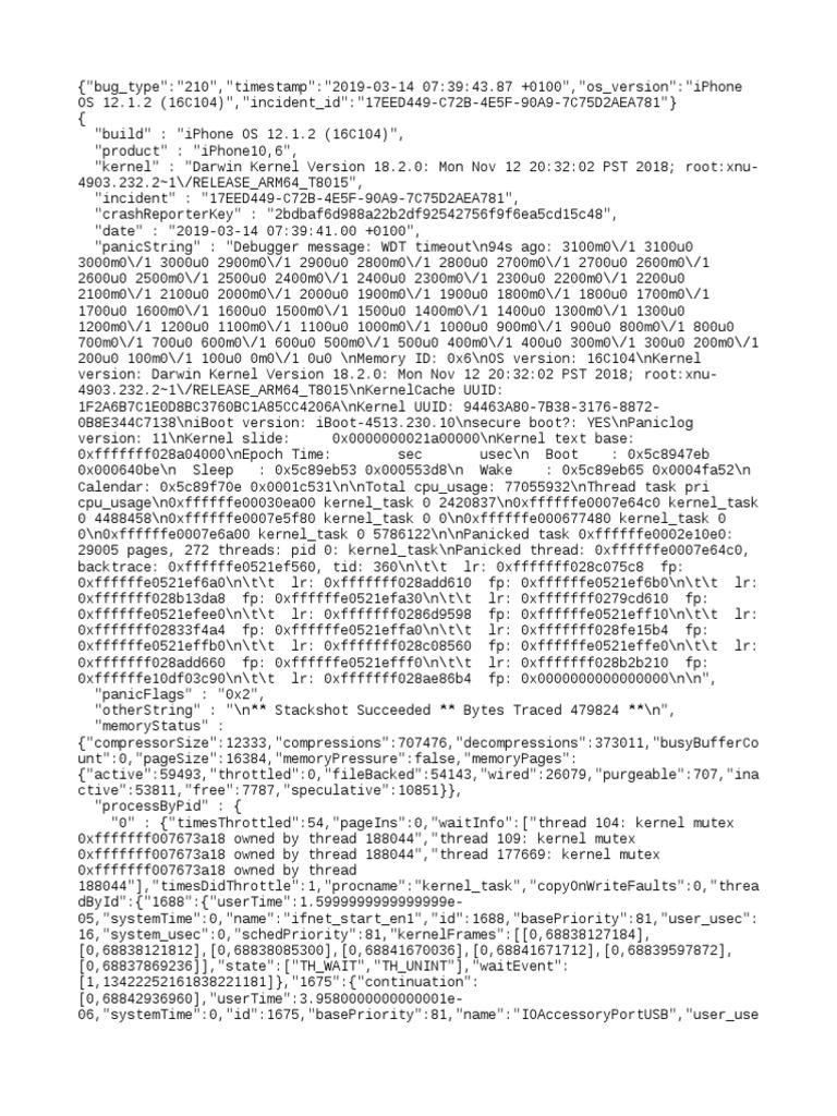 Panic Full 2019 03 14 073943.874 | PDF | Mac Os | Computer Programming