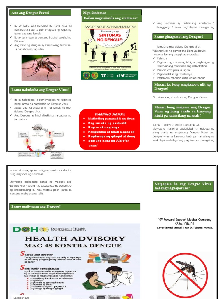 Dengue Pamphlet | PDF