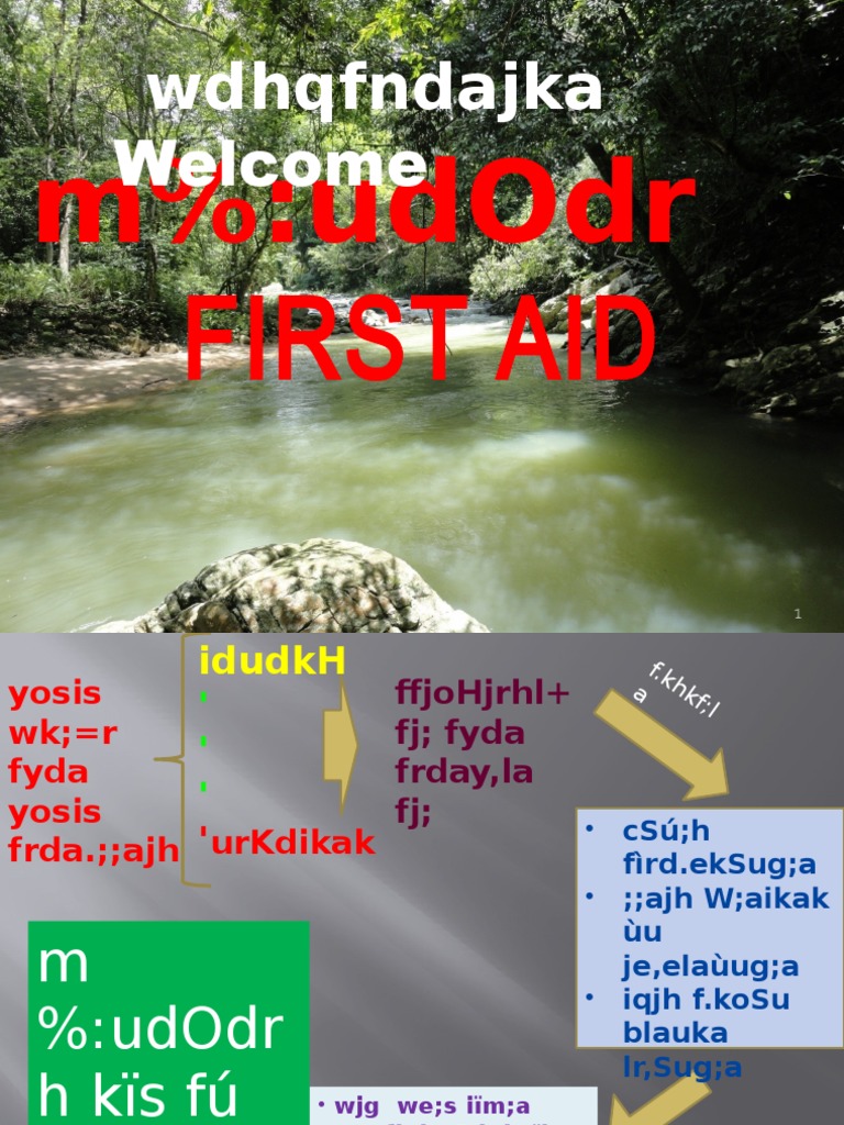 First Aid Basics in Sinhala PDF | PDF | Cardiovascular Physiology ...