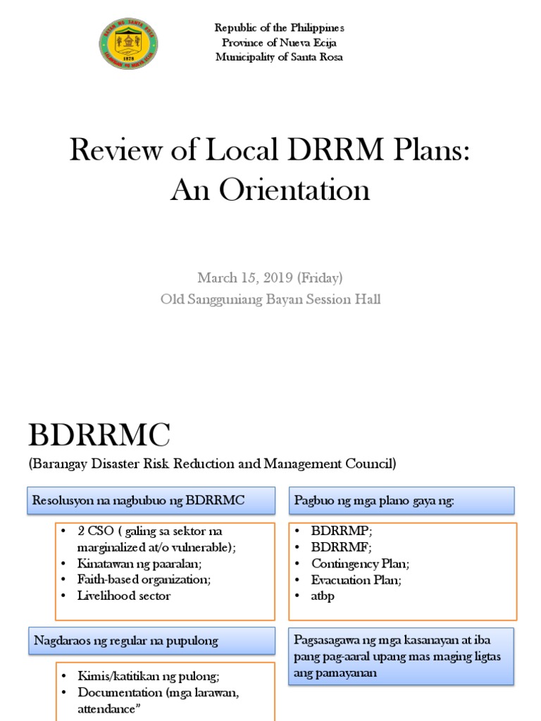 Review of Local DRRM Plans | PDF