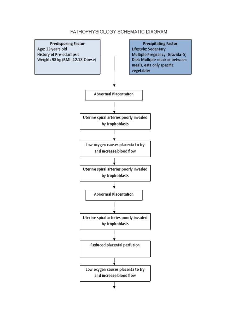 Pathophysiology Schematic Diagram: Predisposing Factor Precipitating ...