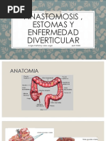 C 37 Cecostomia Colostomia | PDF | Intestino grueso | Abdomen