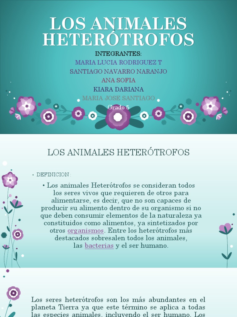 Diapositiva Los Animales Heterótrofos | PDF | Alimentos | Plantas