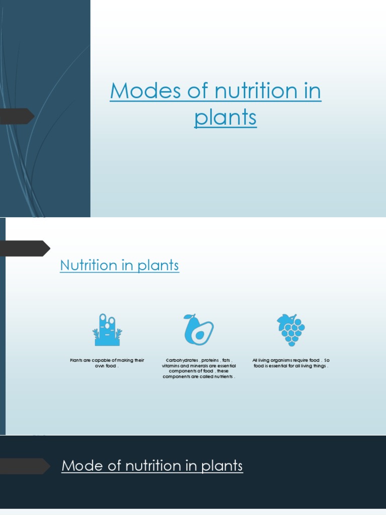 Modes of Plant Nutrition Explained | PDF | Science & Mathematics