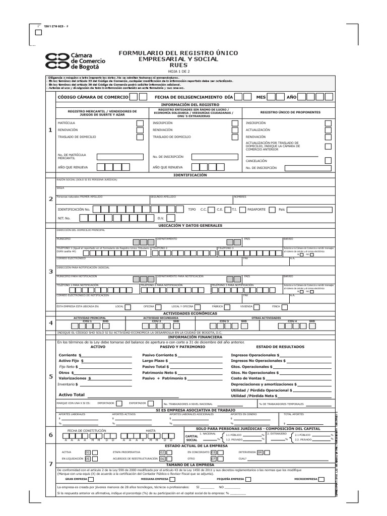 Formulario Registro Unico Empresarial y Social Rues | PDF | Depreciación | Amortización (Negocio)