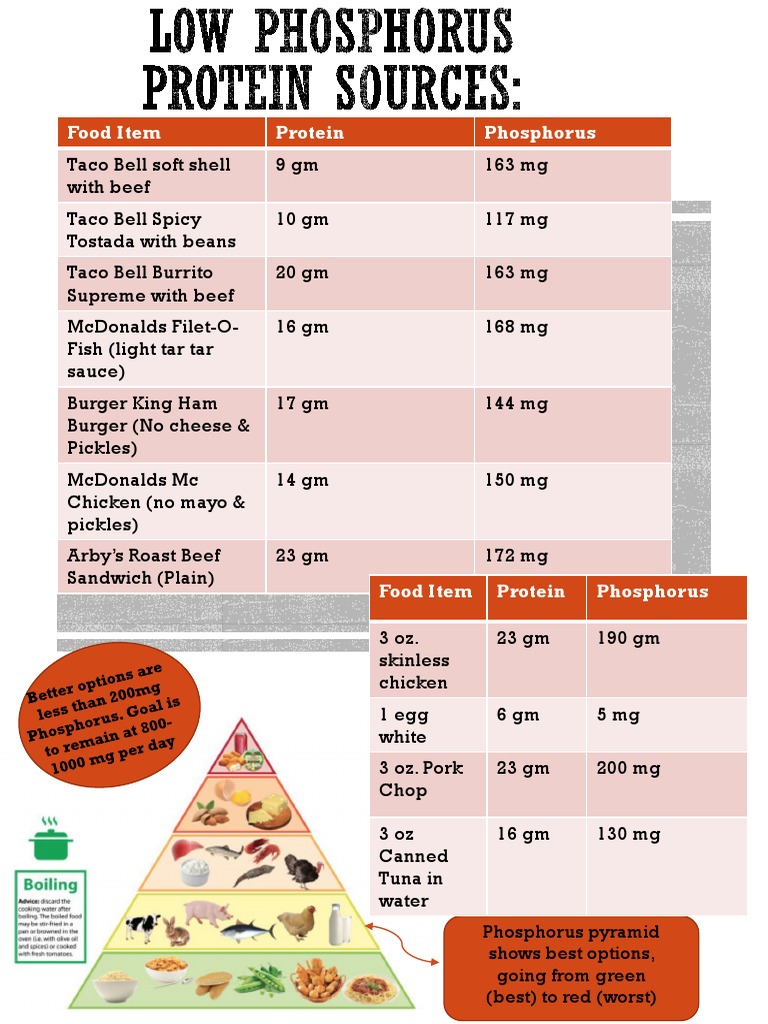 Protein Handout | PDF