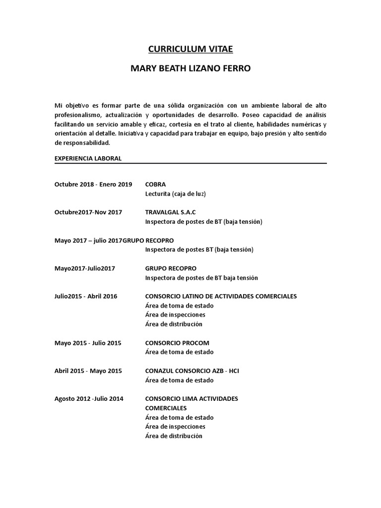 CURRICULUM VITAE Mary | PDF | Educación avanzada | Informática y ...