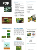 Triptico Del Ambaibo | PDF