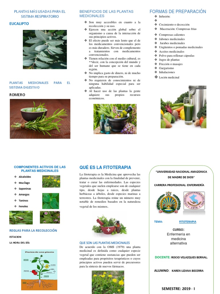 Triptico | PDF | Plantas medicinales | Herboristería Triptico | PDF | Plantas medicinales | Herboristería