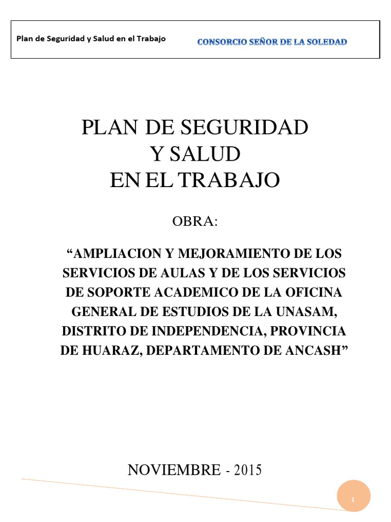 PLAN DE SEGURIDAD Y SALUD EN EL TRABAJO.docx | Valores | Planificación