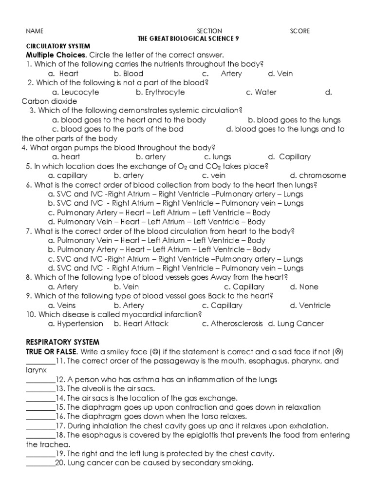Circulatory and Respiratory Systems Quiz | PDF | Genotype | Circulatory ...