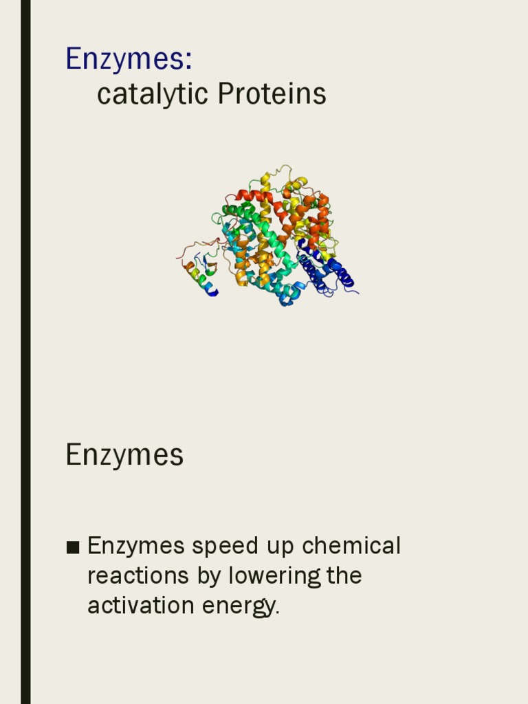 Enzyme Basics PowerPoint | PDF | Enzyme | Chemical Reactions