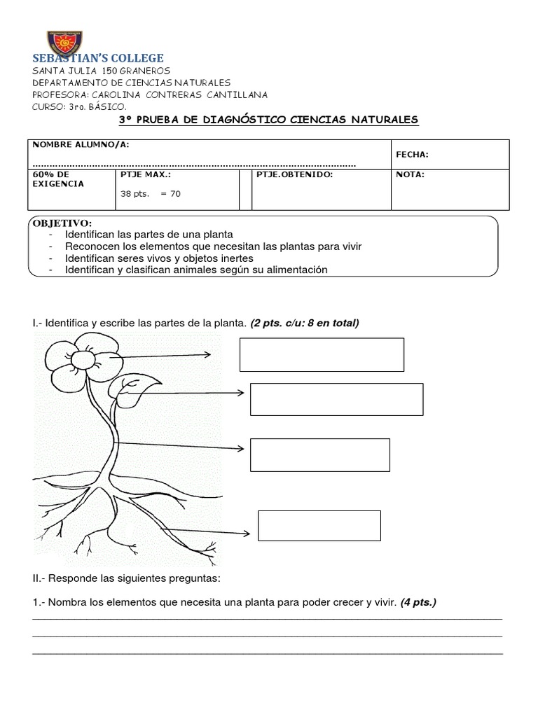 Diagnóstico Ciencias 3° Básico | PDF