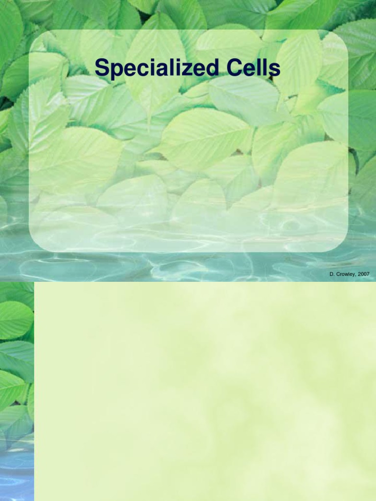Specialized Cells in Animals and Plants | PDF | Tissue (Biology) | Cell ...