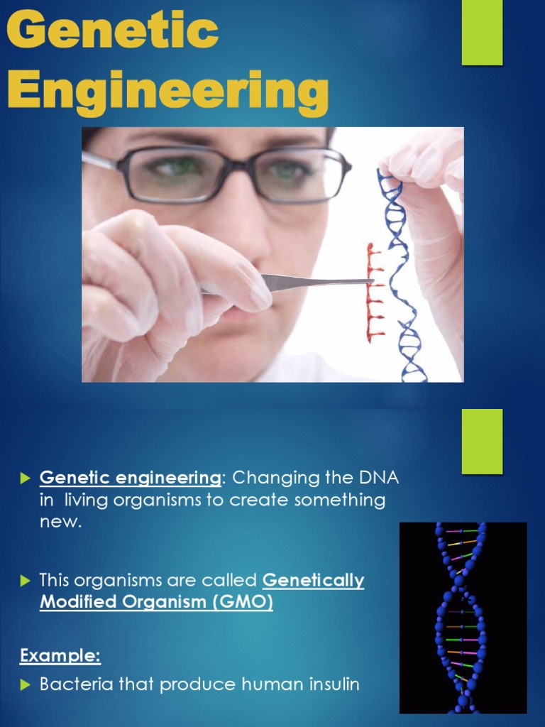 STS Genetic Engineering | PDF | Ploidy | Genetic Engineering
