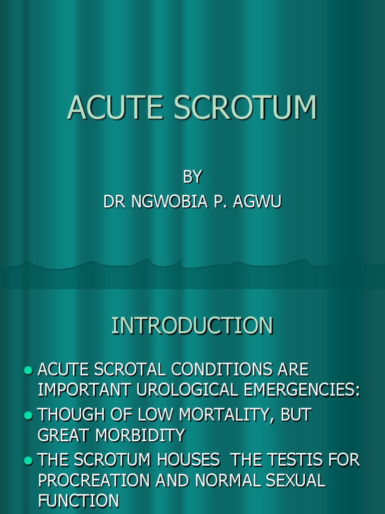Acute Scrotum | PDF | Health Sciences | Diseases And Disorders