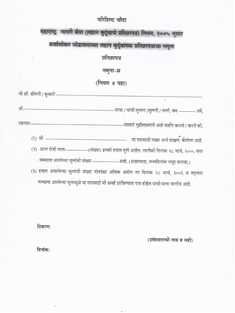 Declaration of Small Family Rule-2005-Specimen | PDF