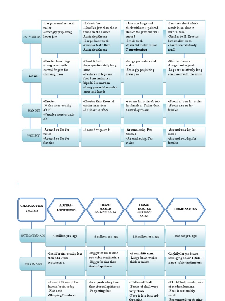 Ucsp | PDF | Homo | Human Evolution