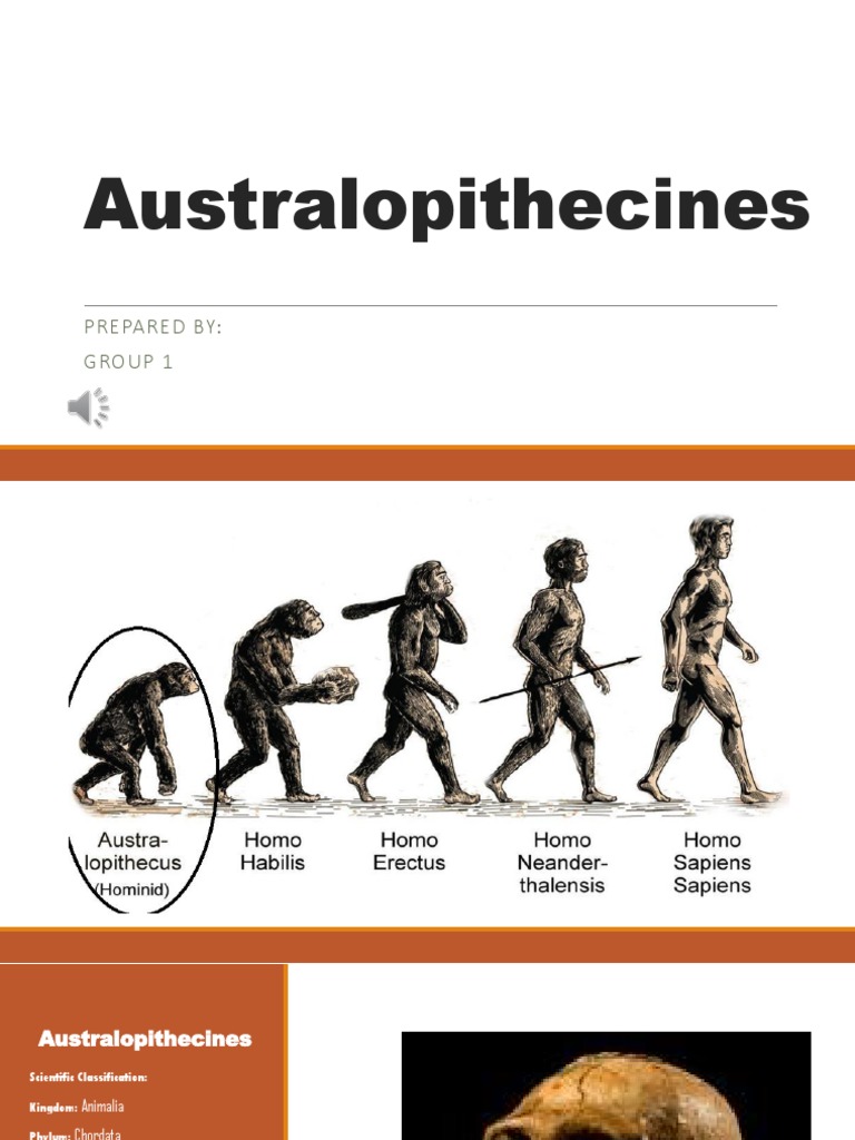 Australopithecines: Prepared By: Group 1 | PDF | Ape | Hominini