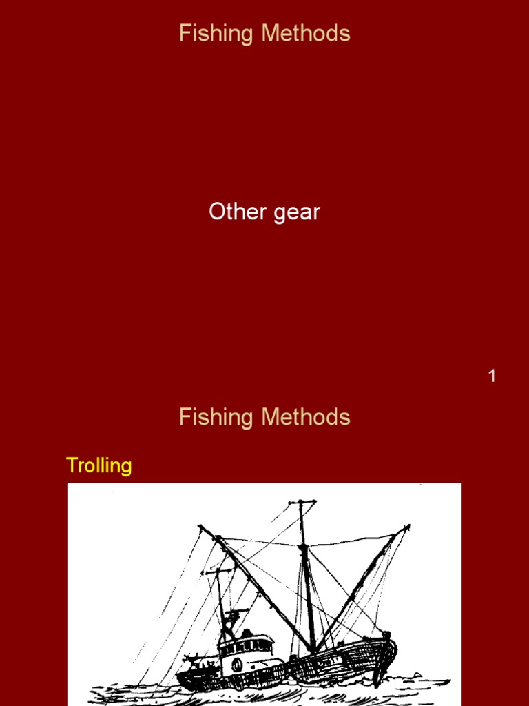 Fishing Methods: Other Gear | PDF