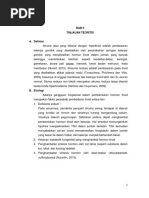 LP Istmolobectomy | PDF